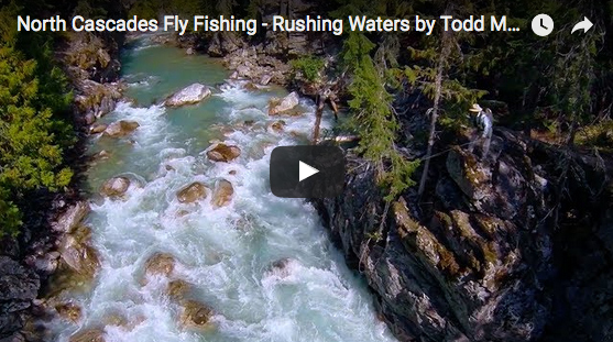 Video: Fly Fishing the North Cascades with Catch Magazine – The ...