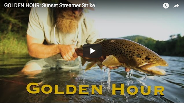 Video: Fly Fishing at Last Light in GOLDEN HOUR: Sunset Streamer Strike ...