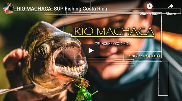 Video: RIO MACHACA: SUP Fishing Costa Rica – The Venturing Angler