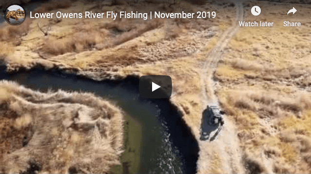 Video: Fly Fishing the Lower Owens River – The Venturing Angler