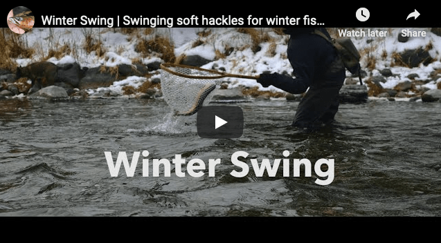 Video: Cold Weather Angling in “Winter Swing” – The Venturing Angler