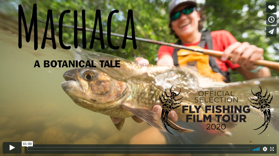 Trailer: Fly Fishing Costa Rica in “Machaca – A Botanical Tale” – The ...
