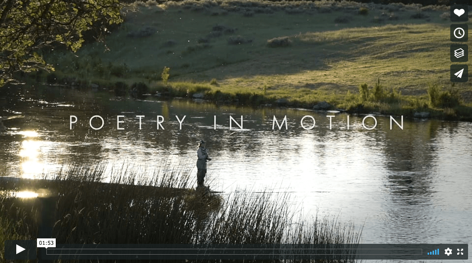 Trailer: Maxine McCormick’s Dedication to Casting and Fishing in ...