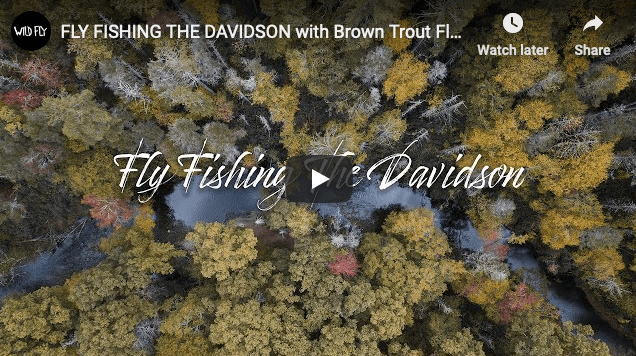 Video: Fly Fishing the Davidson River – The Venturing Angler