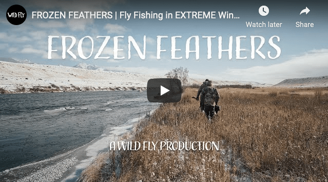 Video: Frozen Feathers — Cold Weather Fly Fishing in Montana – The ...
