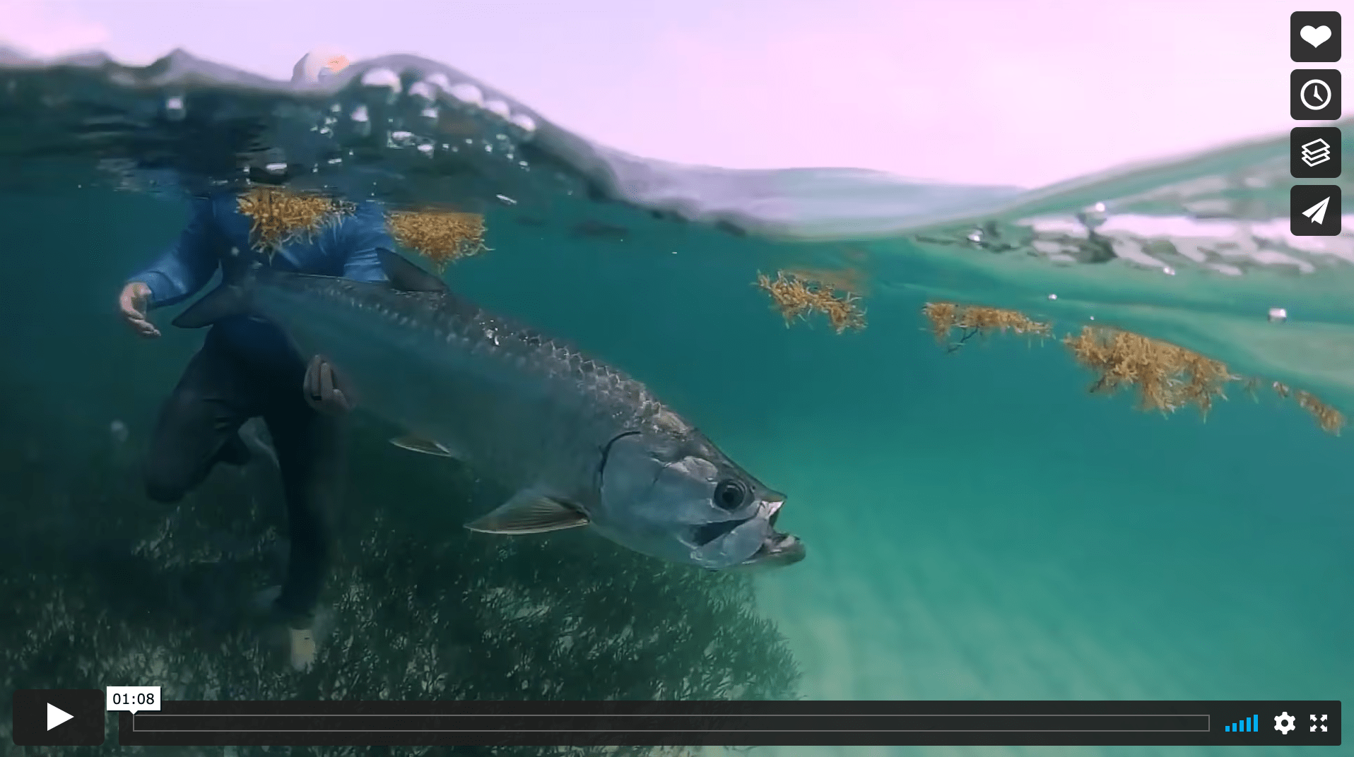 Video: Saltwater Flats Fly Fishing – The Venturing Angler