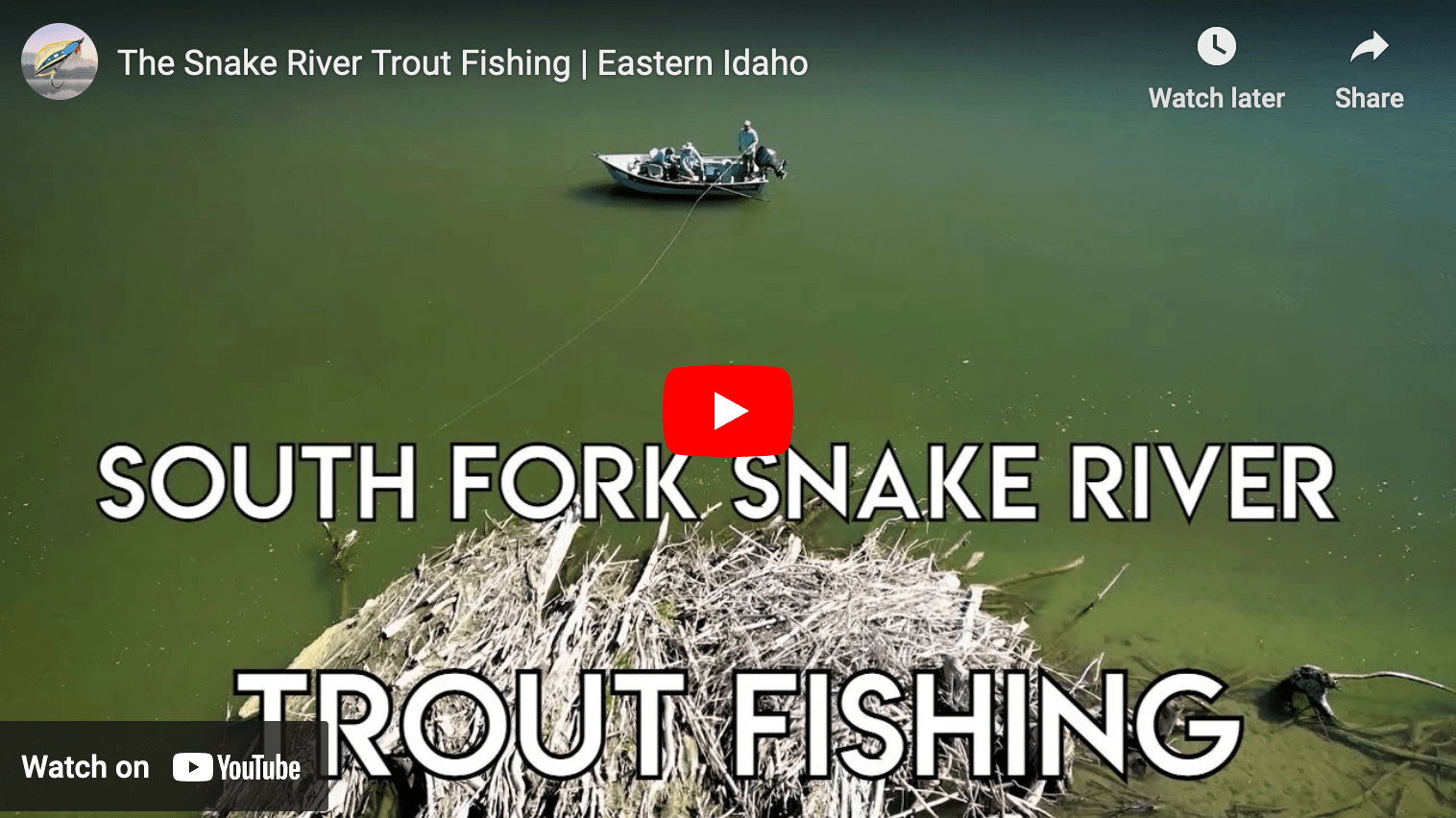 Video: Fly Fishing for Trout on the Snake River in Eastern Idaho – The ...
