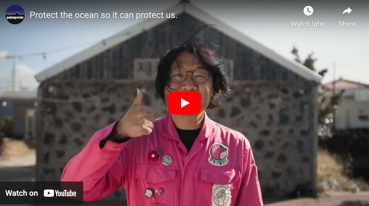 Patagonia Releases Films to Celebrate World Oceans Day – The Venturing ...