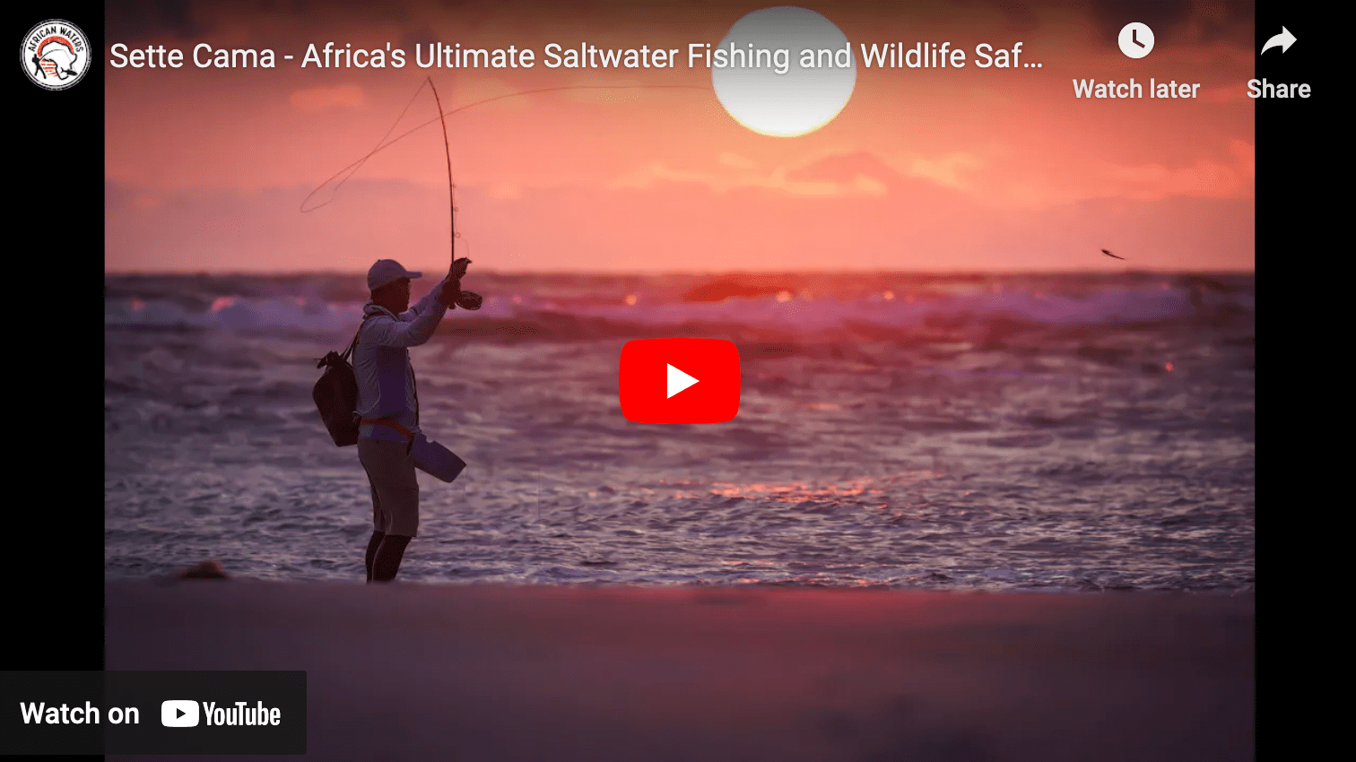 Video: Fly Fishing the Salt in Gabon – The Venturing Angler