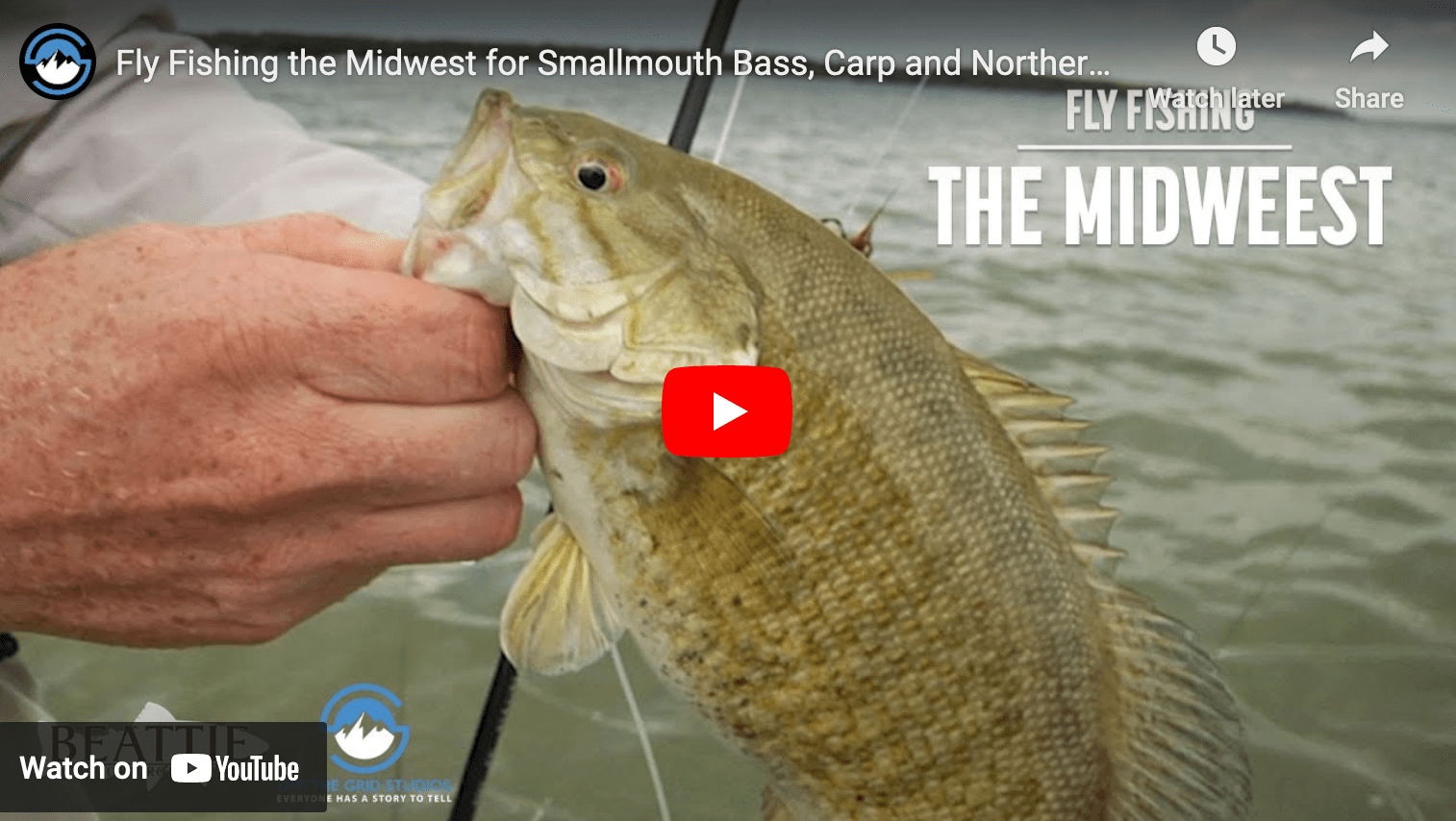 Video: Fly Fishing the Midwest for Smallmouth Bass, Carp and Northern ...