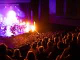 Iconic Live Concert Performances That Captivated Audiences Worldwide