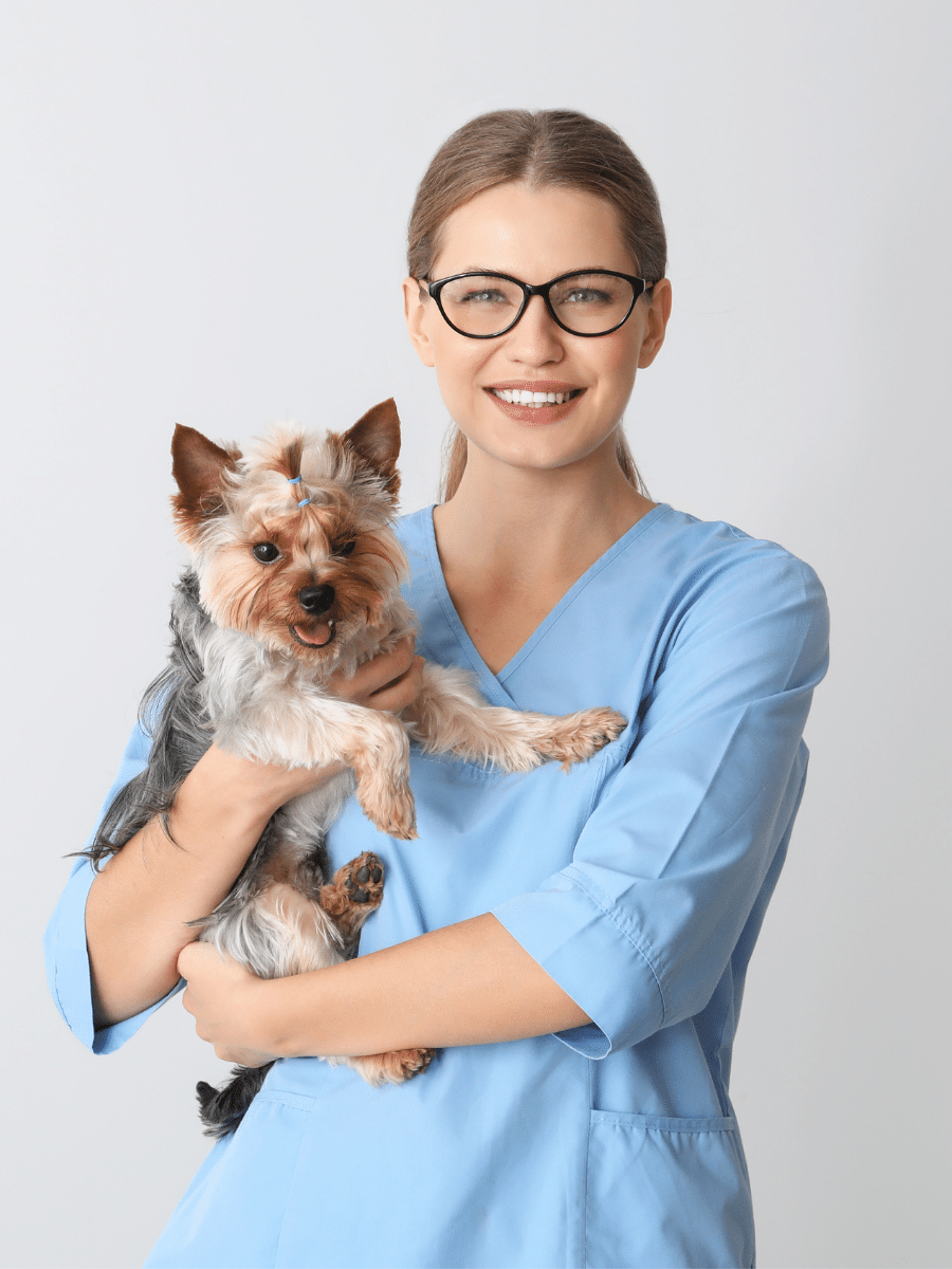 Veterinary Bootcamp CE