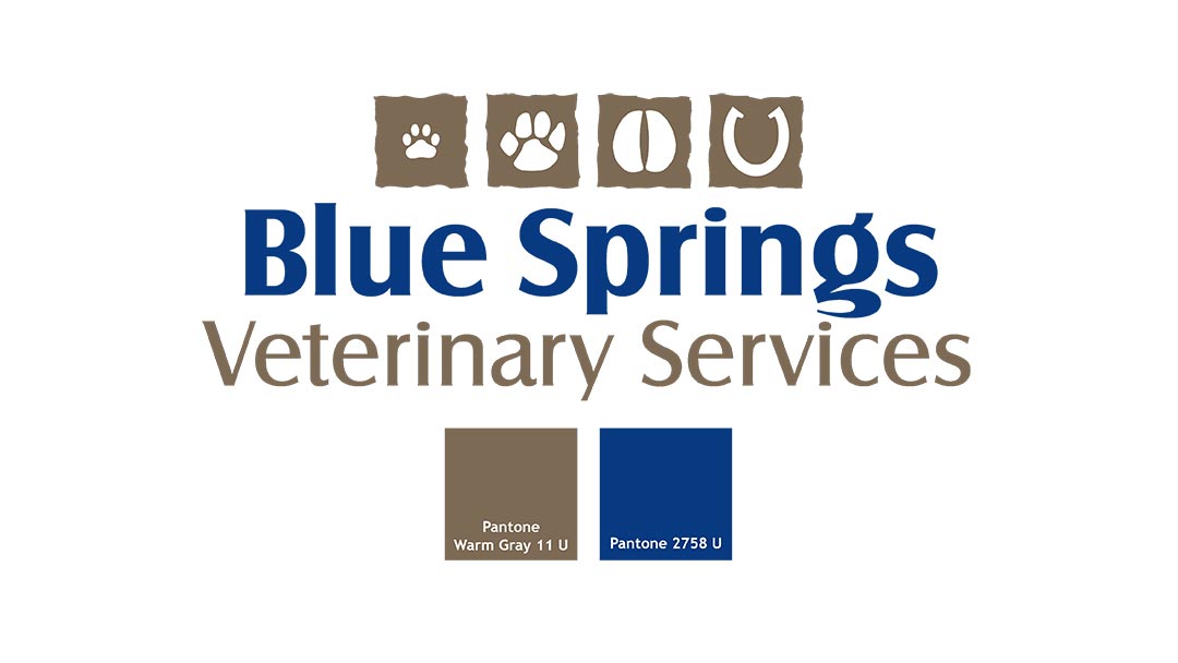 Choosing Your Colors - Veterinary Logos