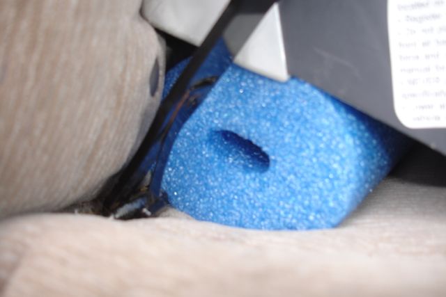 Rear Facing Angles Explained (math mostly not required) – Vancouver ...