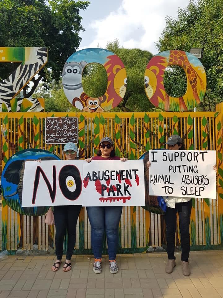 Nightmare at Islamabad Zoo: 2 Animals Dead, 500 Missing - Vida Newspaper