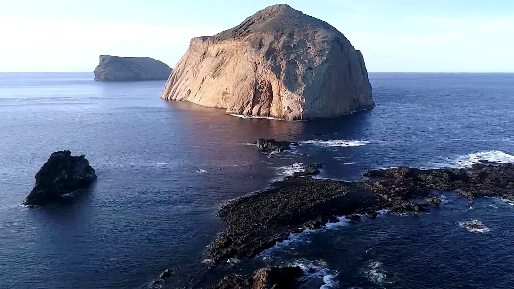 Guadalupe La Isla Mexicana Que Ayuda A La Conservación De Lobo Fino N
