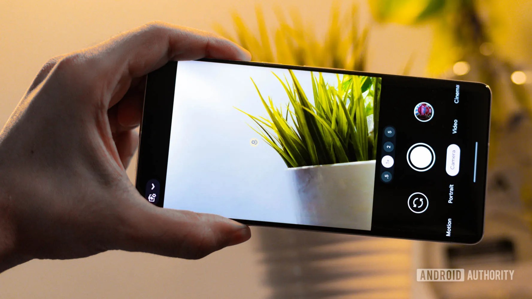 La macrophotographie est désormais plus facile sur les Google Pixel 7 ...