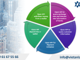 What Is Open Api Data Sharing In Vietnam Viet An Law