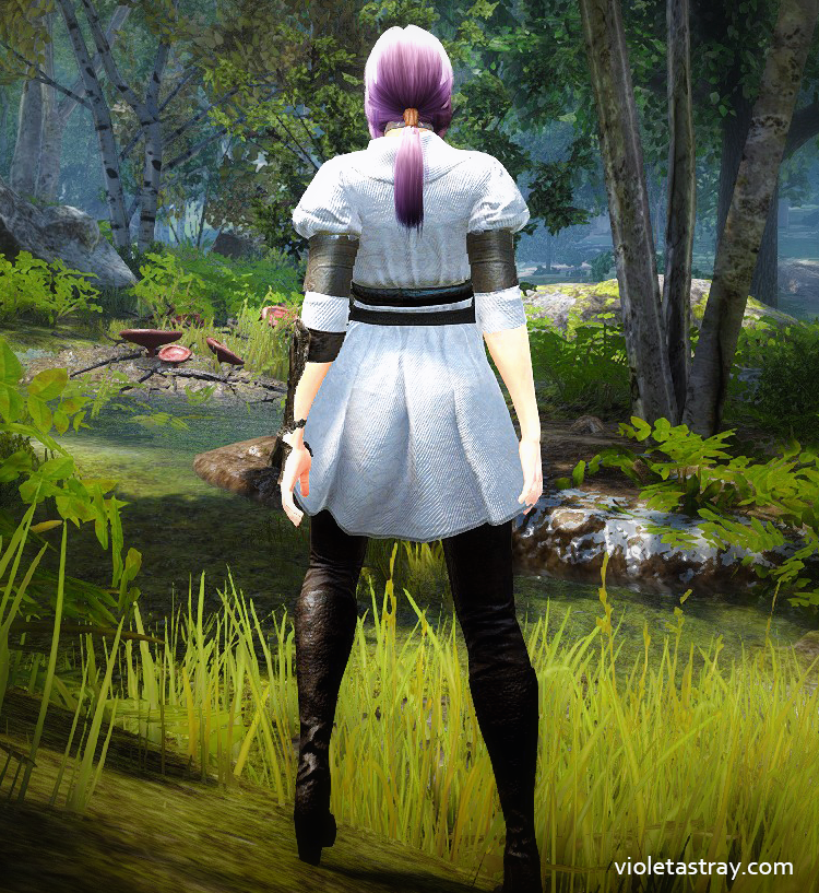 BDO Costumes You Can Craft In-Game! – Violet Astray