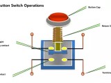 A Comprehensive Guide To Momentary Switches