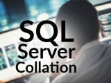 Sql Server Collation Settings And Processes