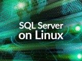 Sql Server On Linux Virtual Dba