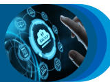Cloud Based Virtual Cloud Group