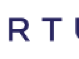 Support Virtual It Uk