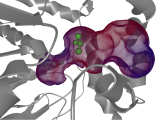 Biological Visualization Visualization Research Group