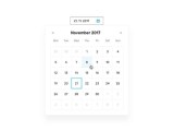 Date Picker Vision Ai Checkup