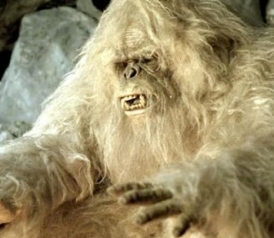 The Yeti Mystery & Disappointing DNA Results