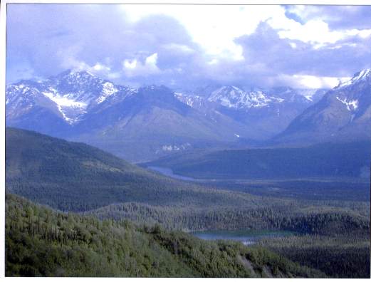 The Saber Wolf – Alaska’s Other Cryptid?