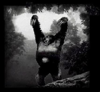 Brazil’s Mapinguari