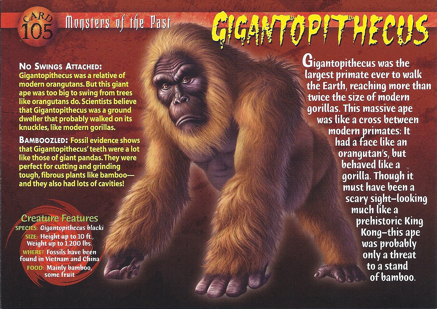 Another New Species of Human Found & What it Means for Bigfoot 4-31