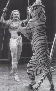 Black Beasts of Britain – Mystery Solved?