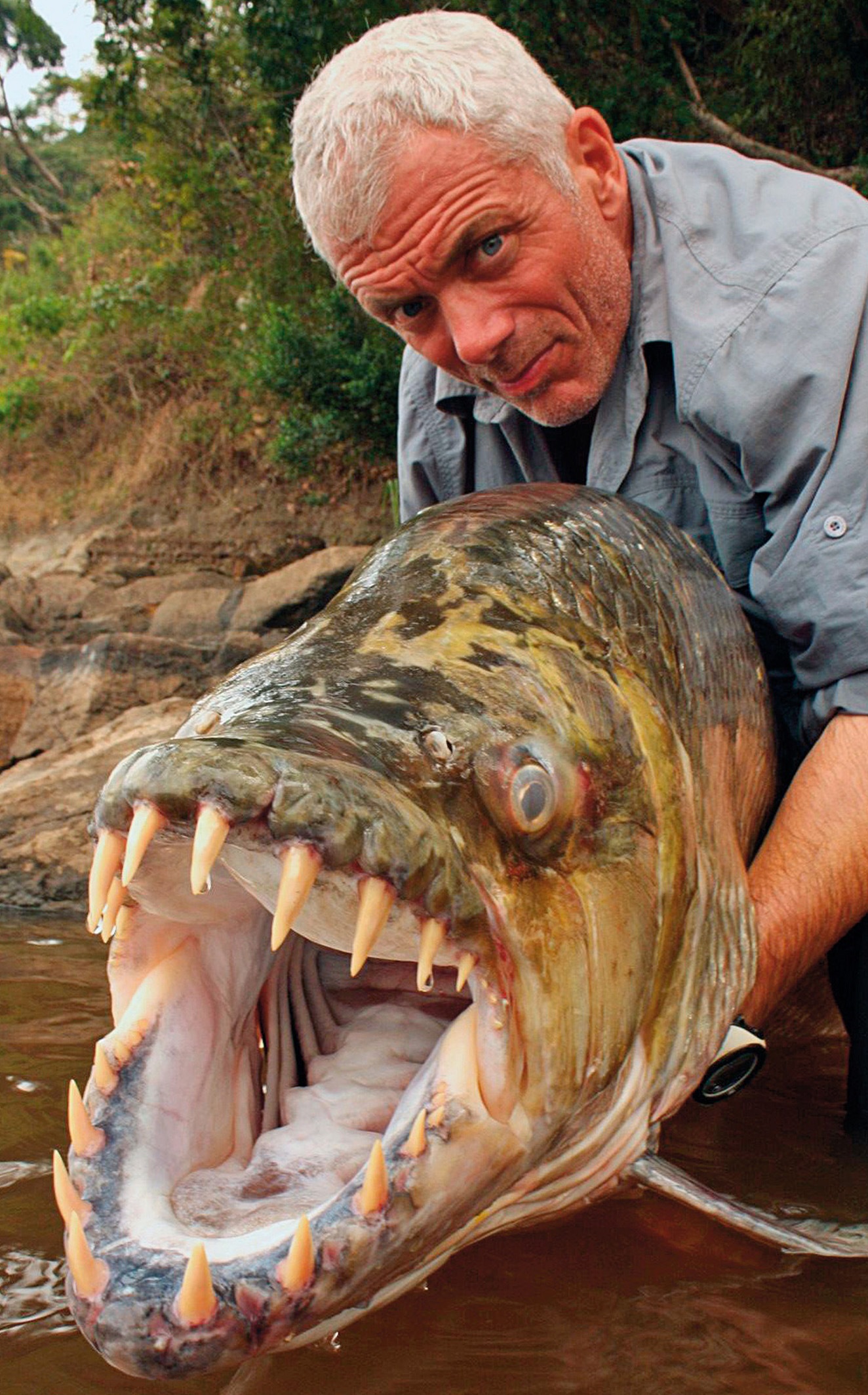 Farewell River Monsters, Welcome Mungo