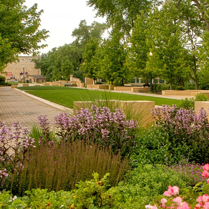 WHITE OAK LIBRARY - Visit Lockport