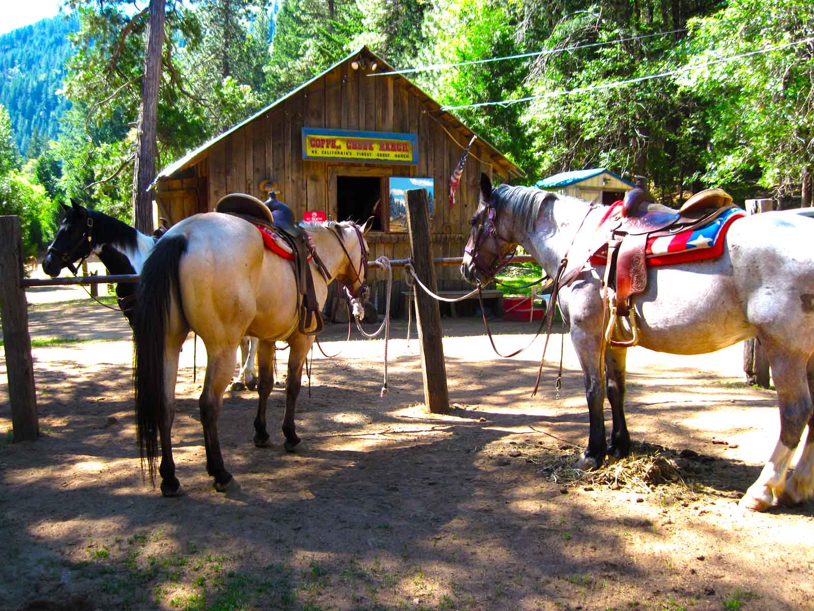 Itinerary ideas | Visit Trinity