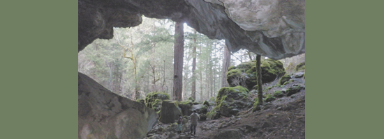 Natural Bridge | Visit Trinity