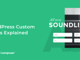 Wordpress Custom Fields Explained All You Should Know Visual