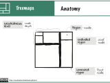 Tree Maps Visualizationcheatsheets Github Io