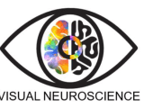 Visual Neuroscience Lab Visual Neuroscience Lab