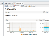 Visualvm Home