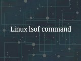 Linux Lsof Command Explained With 12 Practical Examples Vitux