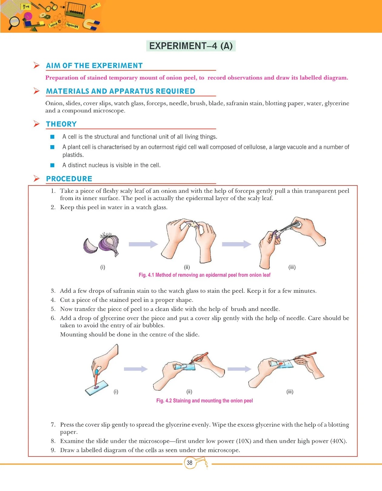 Lab Manual Science Pb Without Worksheet For Class 9 Cbse Based