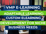 Custom Elearning Development For Niche Businesses Vmp Elearning