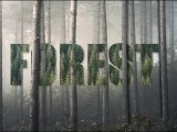 Masking Tool After Effects At Raymond Terrell Blog