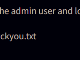 Tryhackme Captchapocalypse Volta