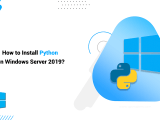 How To Install Python On Windows Server 2019 Vpsmakers