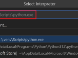 在 Vs Code 中进行 Python 调试 Vscode Ai 代码编辑器